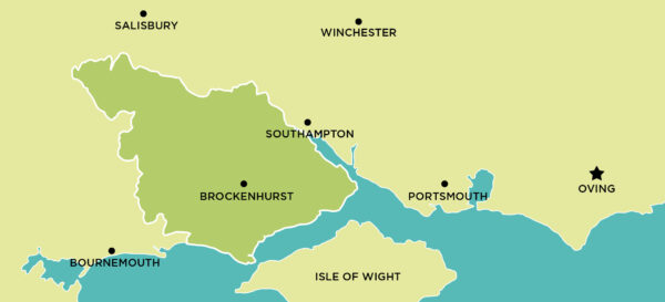 The Ultimate New Forest Travel Guide - LandCruise UK