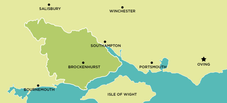 The Ultimate New Forest Travel Guide - LandCruise UK